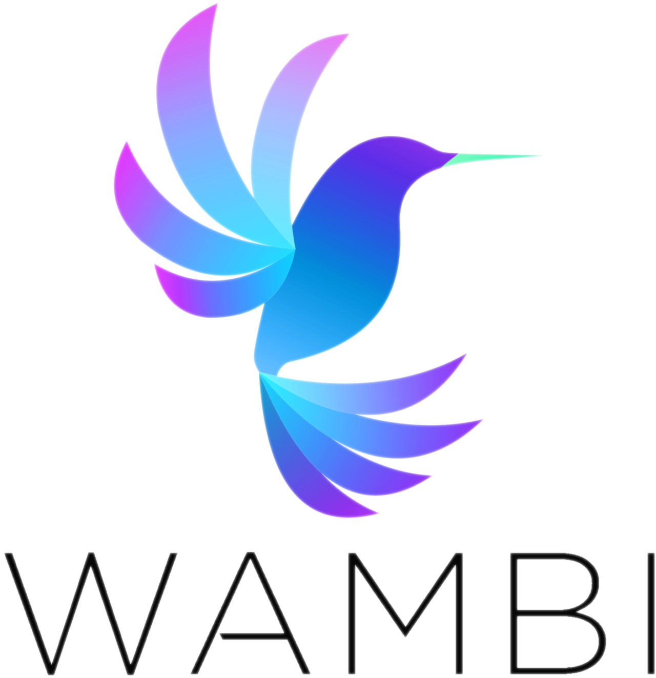 WAMBI - CareWell Health Medical Center
